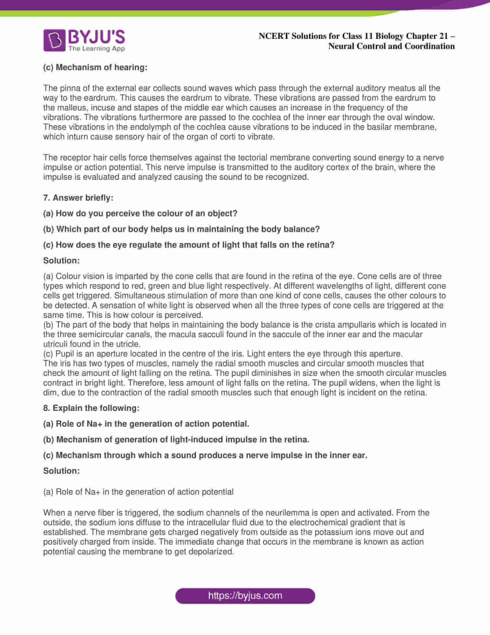 NCERT Solutions Class 11 Biology Chapter 21 Neural Control and Coordination