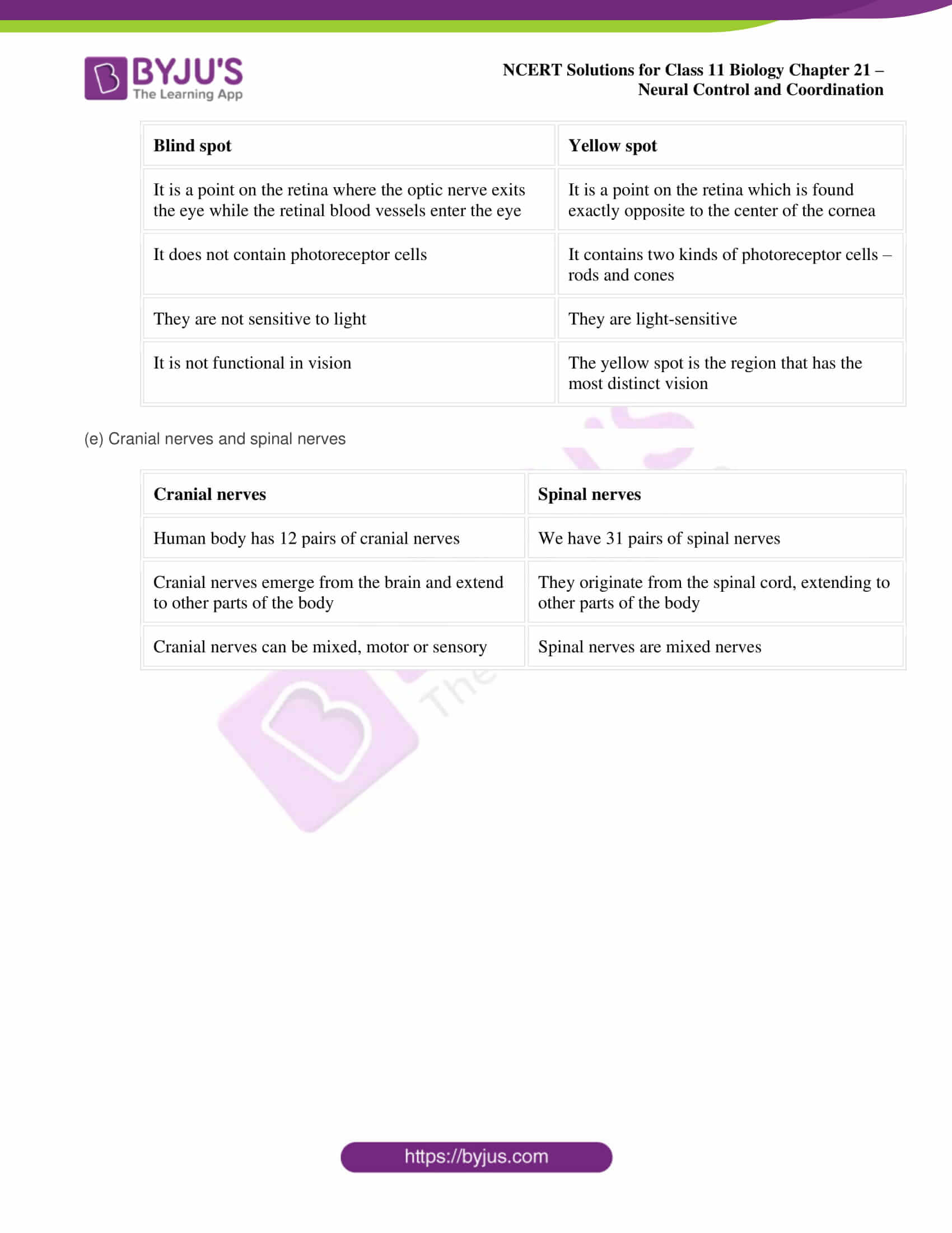 NCERT Solutions Class 11 Biology Chapter 21 Neural Control and Coordination