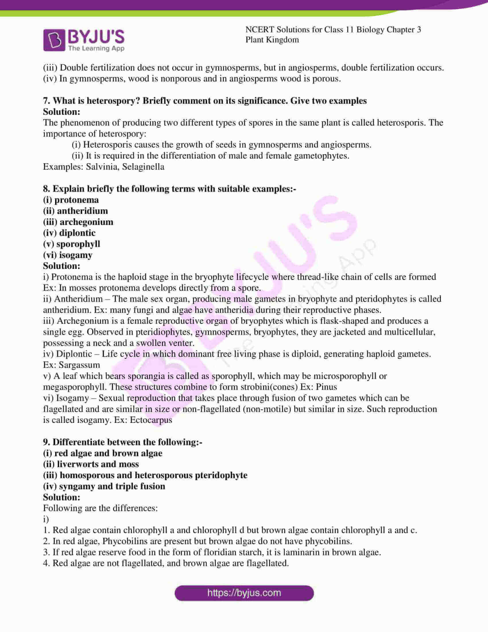 NCERT Solutions for Class 11 Biology Chapter 3 Plant Kingdom