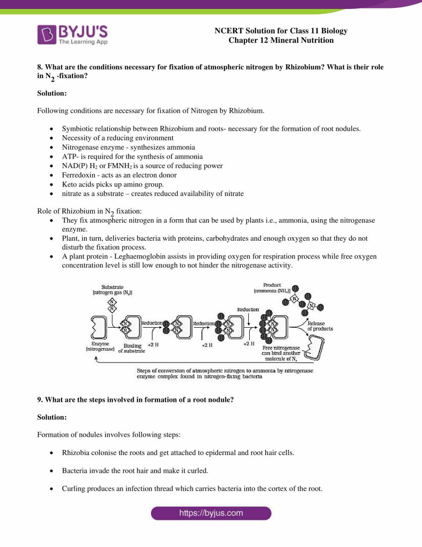 NCERT Solutions Class 11 Biology Chapter 12 Mineral Nutrition ...