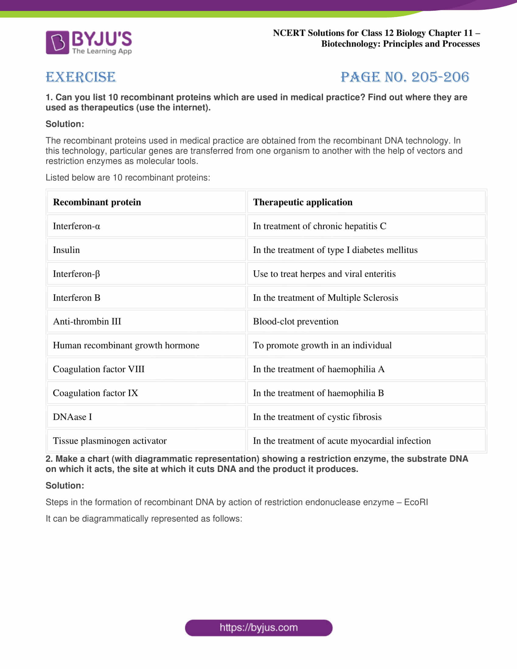 NCERT Solutions for Class 12 Biology Chapter 11 Biotechnology ...