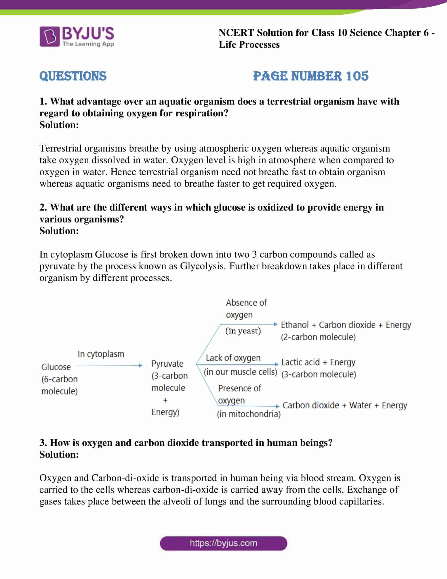 NCERT Solutions For Class 10 Science Chapter 6 Life Processes