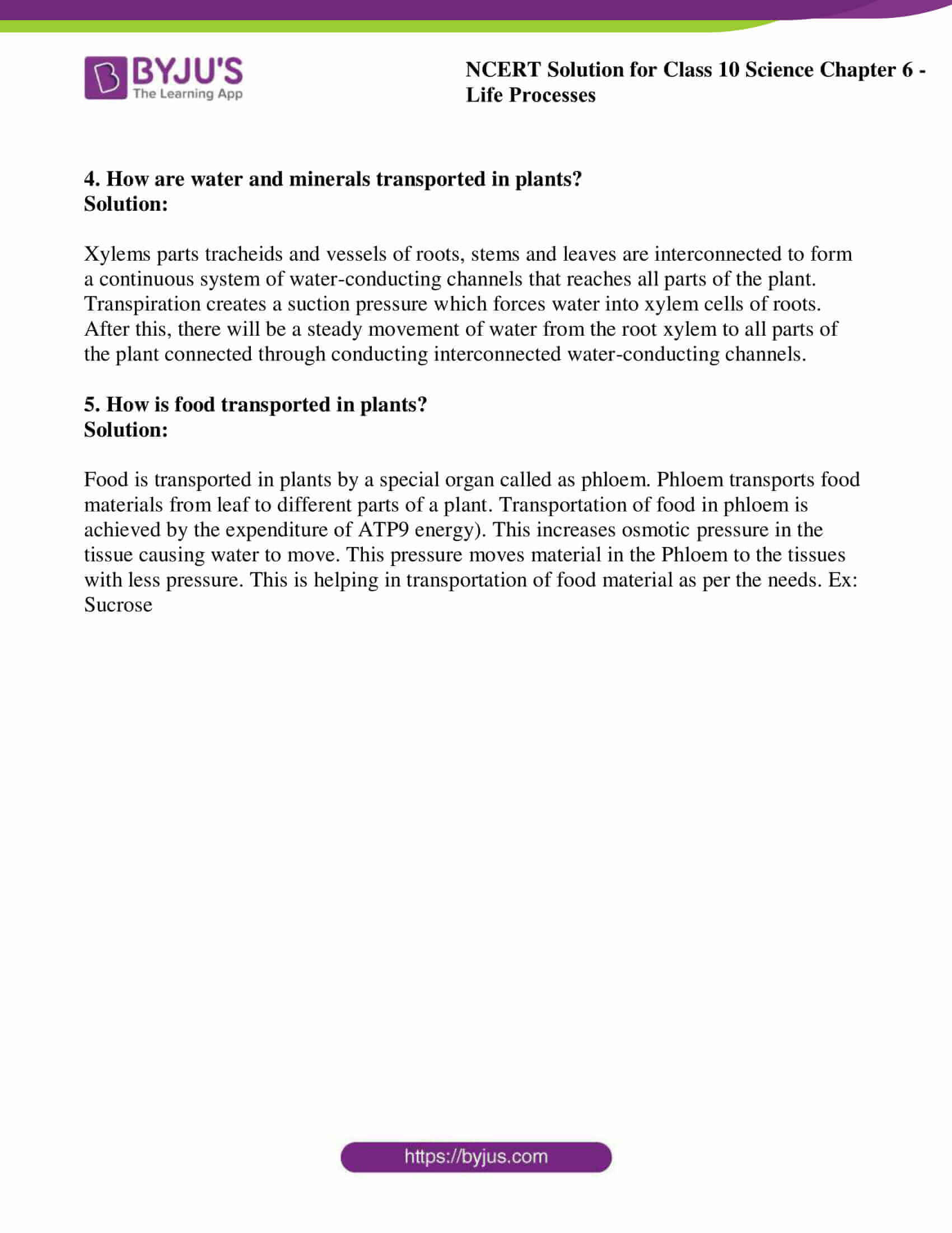 NCERT Solutions For Class 10 Science Chapter 6 Life Processes NCERT Solutions For Class 10 Science Chapter 6 Life Processes