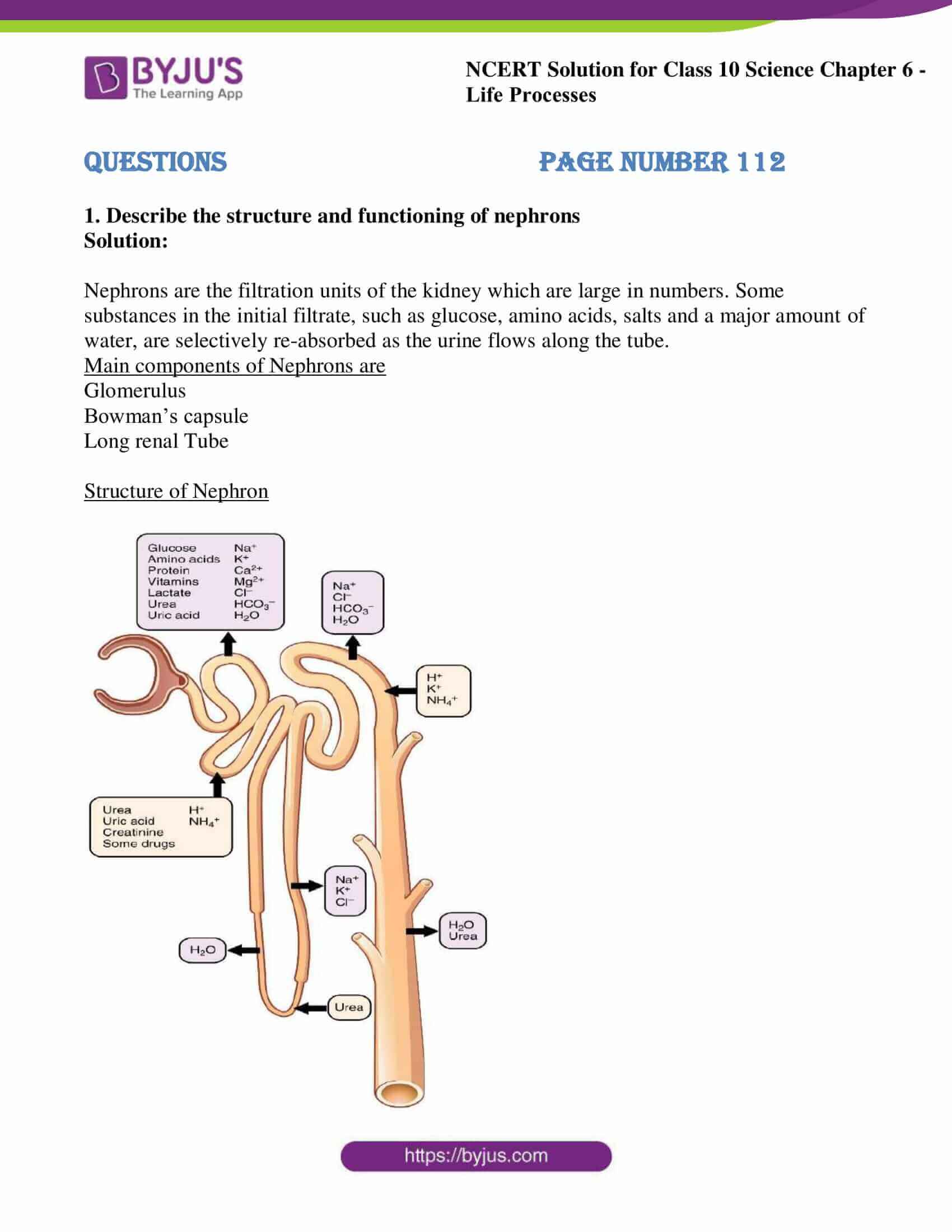 NCERT Solutions For Class 10 Science Chapter 6 Life Processes