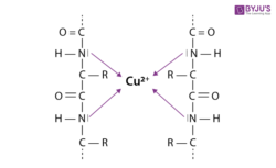 Biuret Test - Checking for Peptide Bonds with Biuret Reagent
