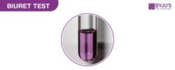 Biuret Test - Checking for Peptide Bonds with Biuret Reagent
