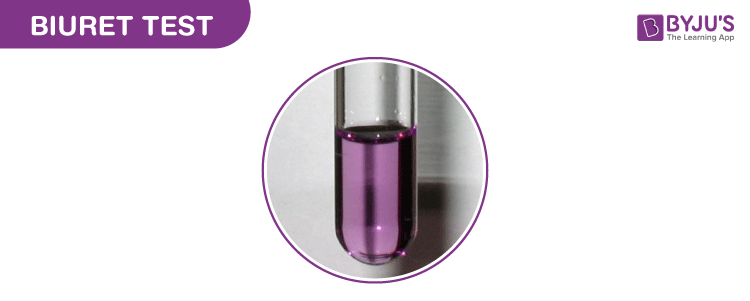 Biuret Test - Checking for Peptide Bonds with Biuret Reagent