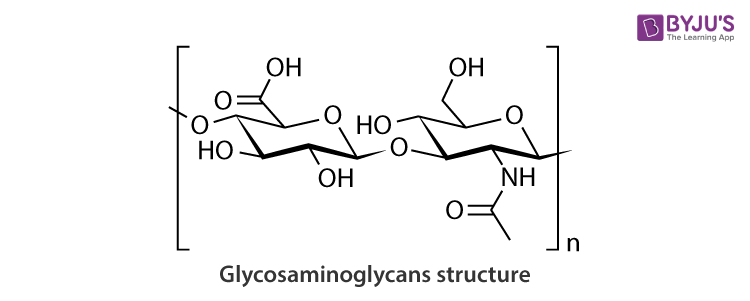 Glycosaminoglycans - Definition, Structure, Function, Applications ...