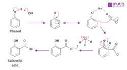 Kolbe Reaction Mechanism - Explanation of Kolbe Schmitt Reaction