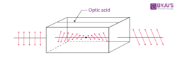 What is Optical Rotation? - Definition, Formula & Applications