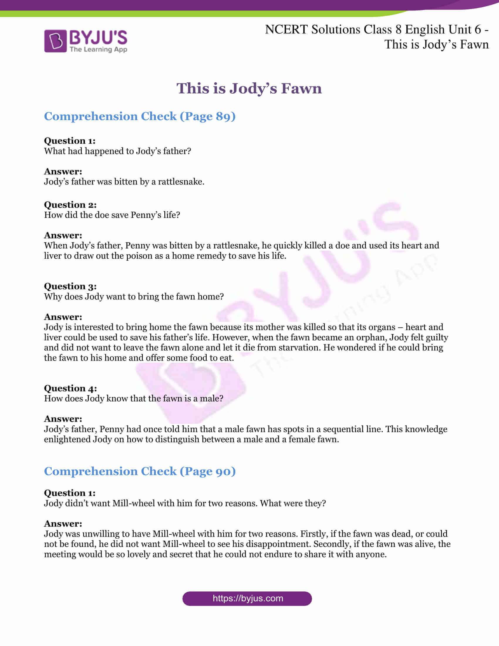 NCERT Solutions For Class 8 English Unit 6 - This is Jody’s Fawn