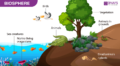 What is Biosphere? - Definition, Resources with Examples & Images