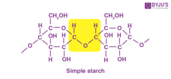 Starch - Definition, Formula, Uses, & Facts with Examples