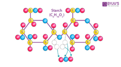 Starch - Definition, Formula, Uses, & Facts with Examples