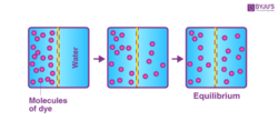 Physical Equilibrium - Types, Phase and Vapour-Liquid Equilibrium