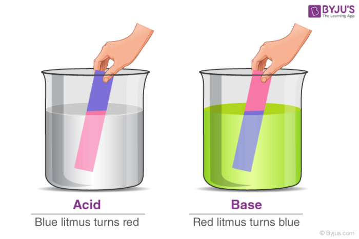 What Is Litmus Paper History Composition Colours With Examples