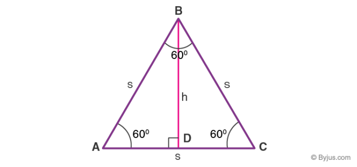 What is a Regular Polygon? - Regular Polygons Examples & Formulas