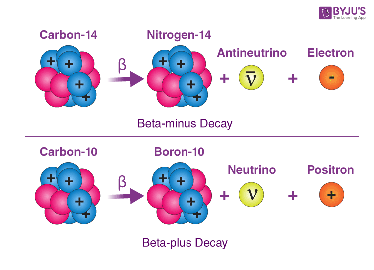 Describe What Happens When Beta Decay Occurs