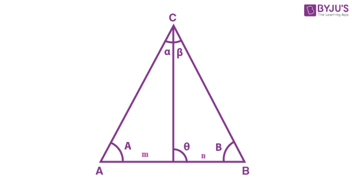 Properties of Triangle | Height and Distance for IIT JEE