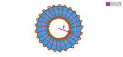 Toroid: Definition, Diagram, Magnetic Field, Formula, Applications