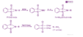 Gabriel Phthalimide Synthesis Mechanism - Explanation and Examples