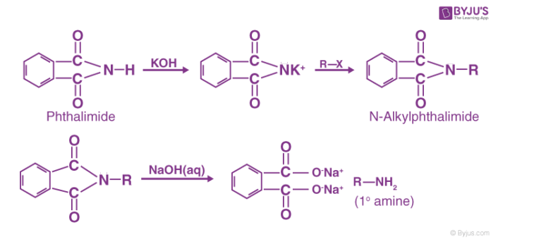 Gabriel Phthalimide Synthesis Mechanism - Explanation and Examples