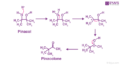 Pinacol Pinacolone Rearrangement - Mechanism and Process with Illustrations