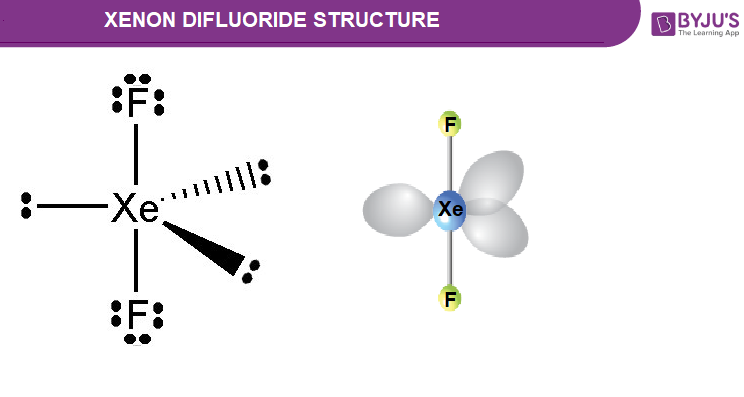 Xef4 Hybridization Structure