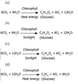 CBSE Class 10 Science MCQ Chapter 6 Life Processes