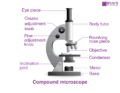 Types of Microscopes: Definition, Working Principle, Diagram ...