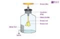 Gold Leaf Electroscope - Definition, Construction, Applications, FAQs