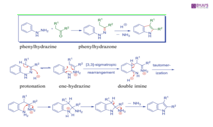 ‌Fischer Indole Synthesis - Definition, Reaction, Mechanism & Drawbacks ...