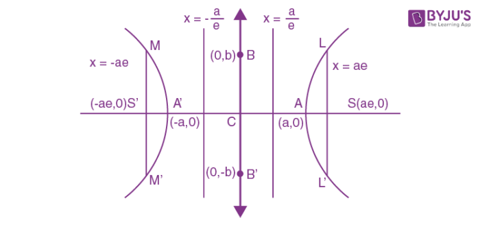 Hyperbola - Standard Equation, Conjugate Hyperbola with Examples