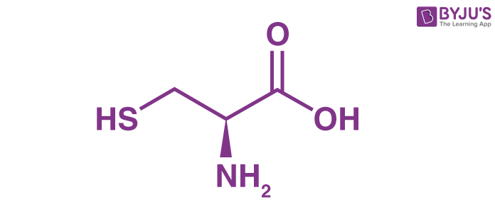 Thiol group is present in: Chemistry - Q&A