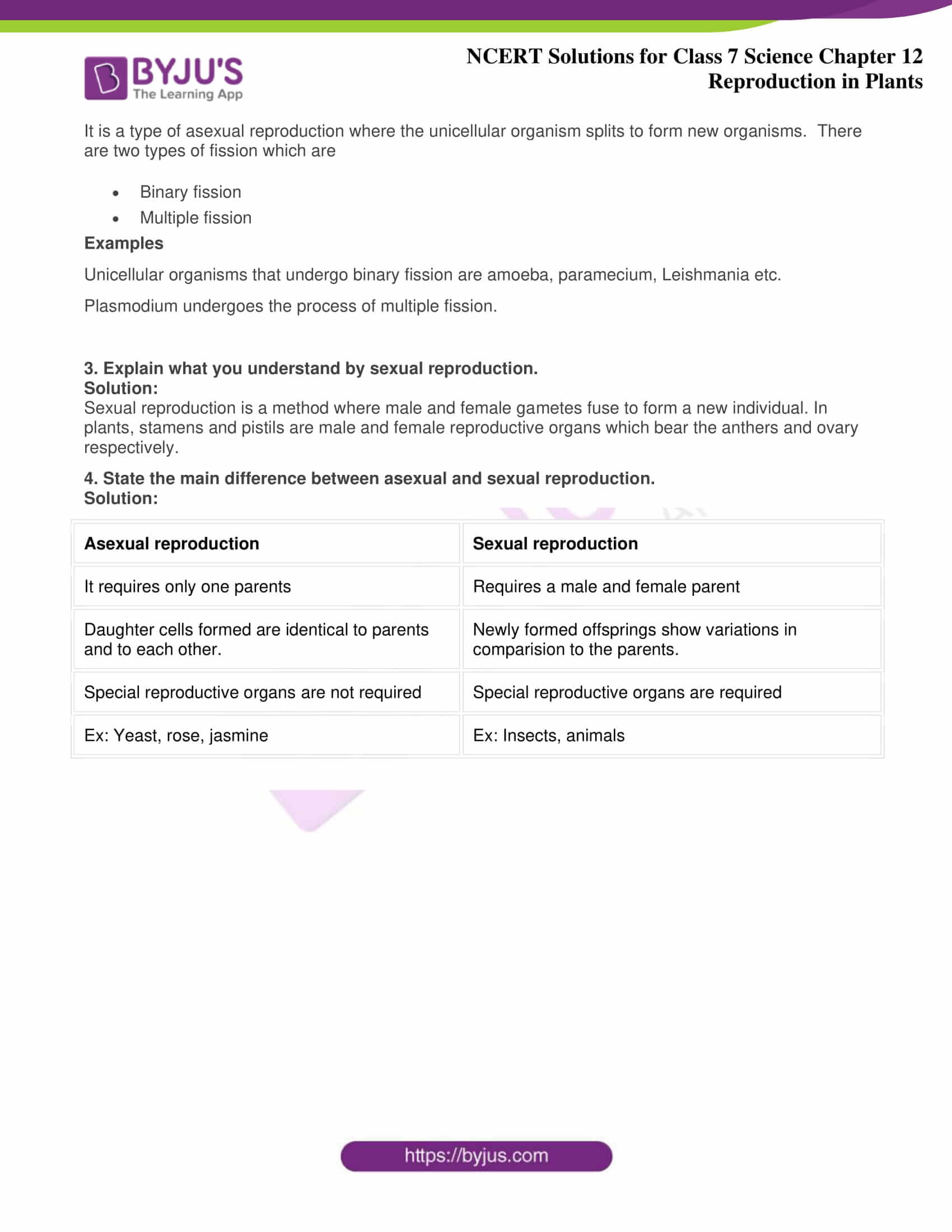 NCERT Solutions Class 7 Science Chapter 12 Reproduction In Plants