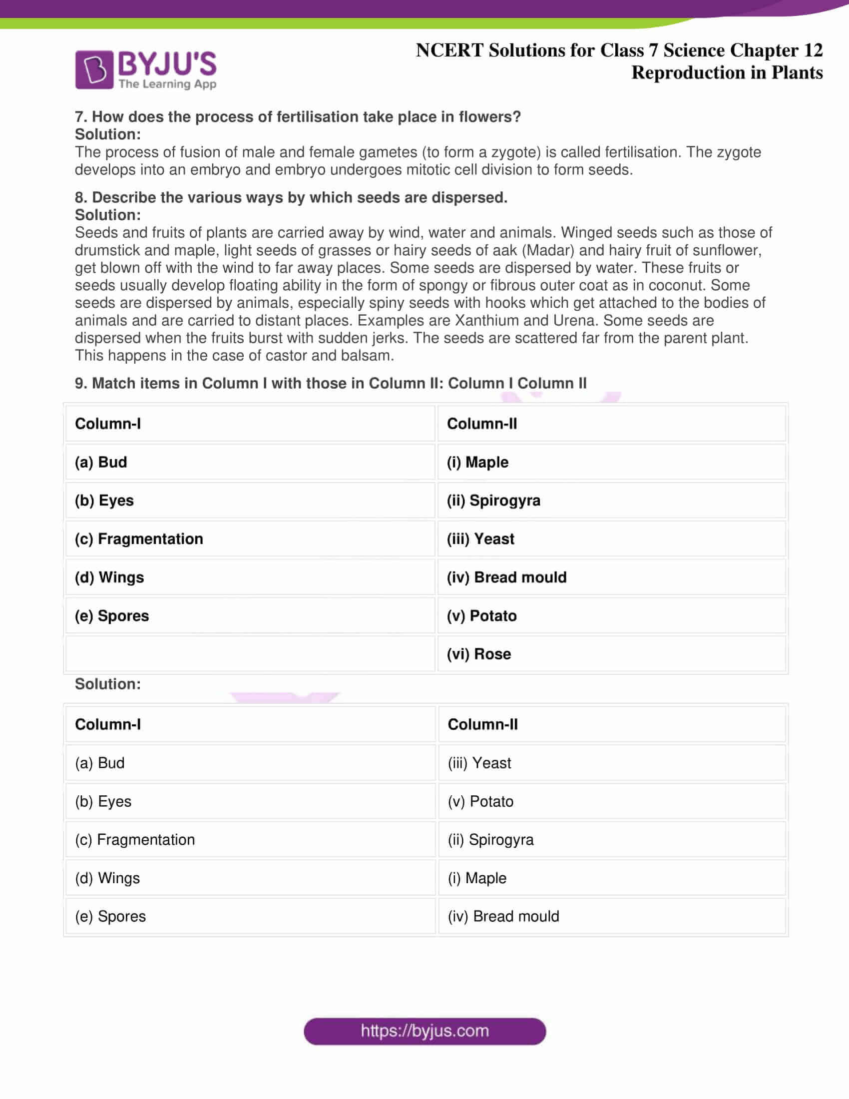 NCERT Solutions Class 7 Science Chapter 12 Reproduction In Plants
