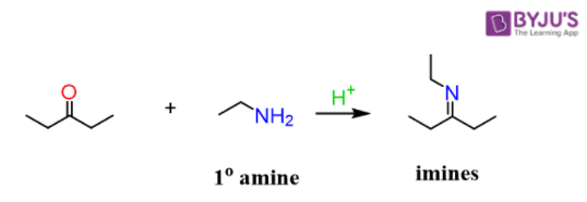 Imine Formation: Introduction, Nomenclature, Applications and Imine ...