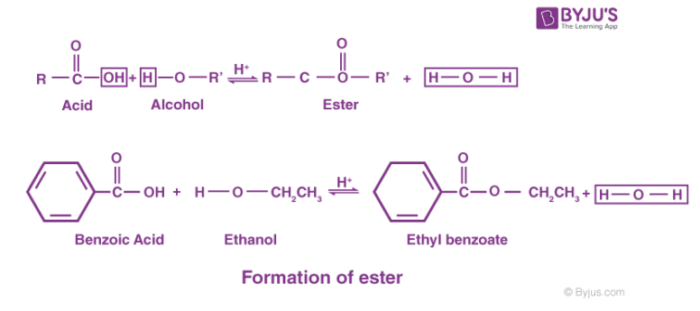 Ester Hydrolysis with NaOH: Ester Hydrolysis, Ester Hydrolysis with ...