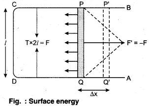 Surface Tension Questions - Practice Questions of Surface Tension with ...