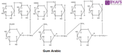 Gum Arabic - Structure, Molecular Mass, Properties and Uses