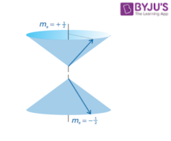 Spin Quantum Number - Definition, Determination with Key Points & Examples