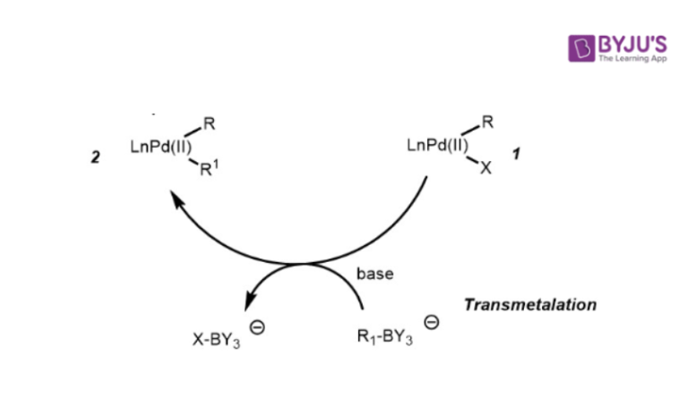 Suzuki Coupling Reaction - Definition, Details and Mechanism with Examples