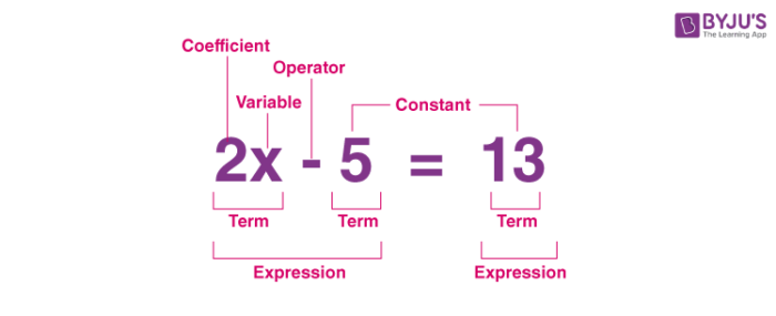 Algebraic Equations Questions (With Solutions)