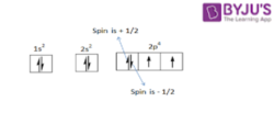Spin Quantum Number - Definition, Determination with Key Points & Examples