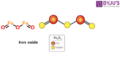 Iron oxide (Fe2O3) - Structure, Molecular Mass, Properties & Uses
