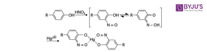 Test of Proteins Experiment - Chemistry Practicals Class 12
