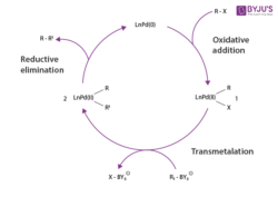Suzuki Coupling Reaction - Definition, Details and Mechanism with Examples