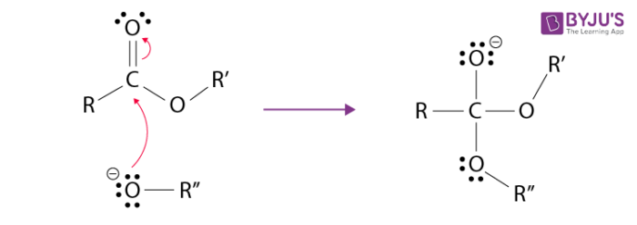 Transesterification - Process, Reaction Mechanism, Applications