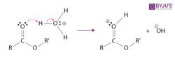 Transesterification - Process, Reaction Mechanism, Applications