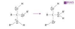 Transesterification - Process, Reaction Mechanism, Applications